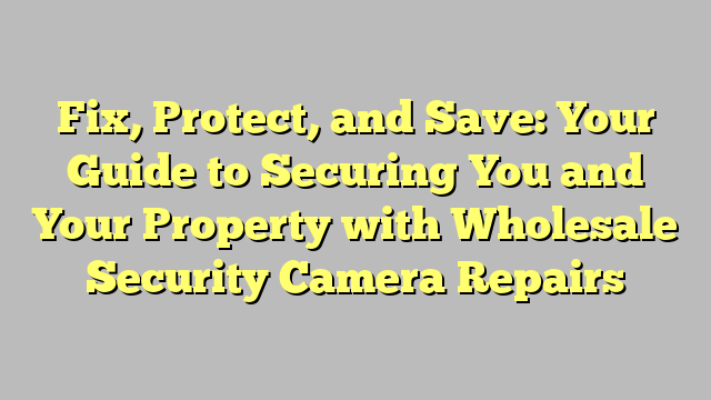 Fix, Protect, and Save: Your Guide to Securing You and Your Property ...