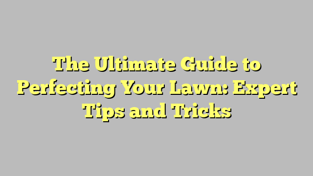 The Ultimate Guide to Perfecting Your Lawn: Expert Tips and Tricks ...